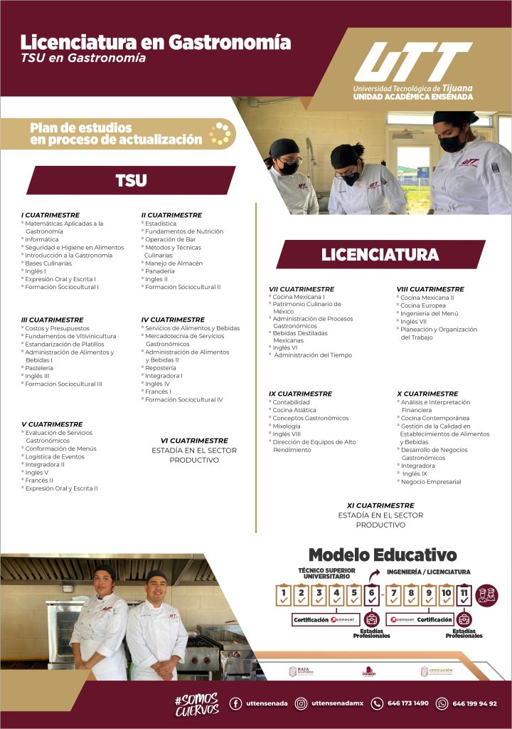 Gastronomía – Universidad Tecnológica de Tijuana UTT
